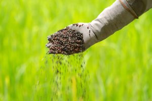 Avoid These 5 Toxic Fertilizers: What Not to Use in Your Garden