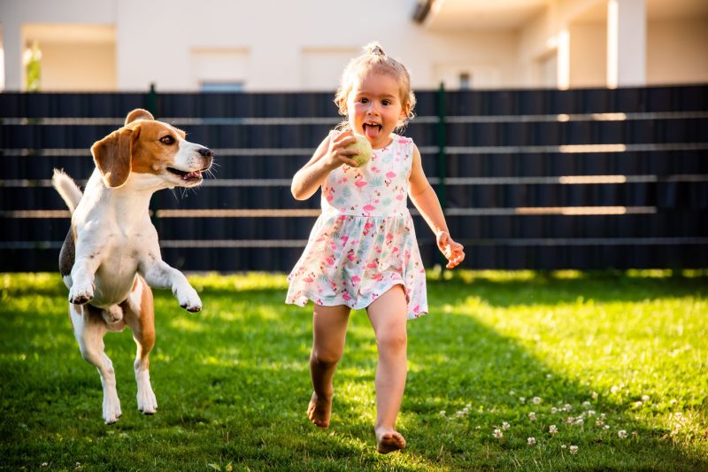 Avoid These 5 Toxic Fertilizers: What Not to Use in Your Garden
