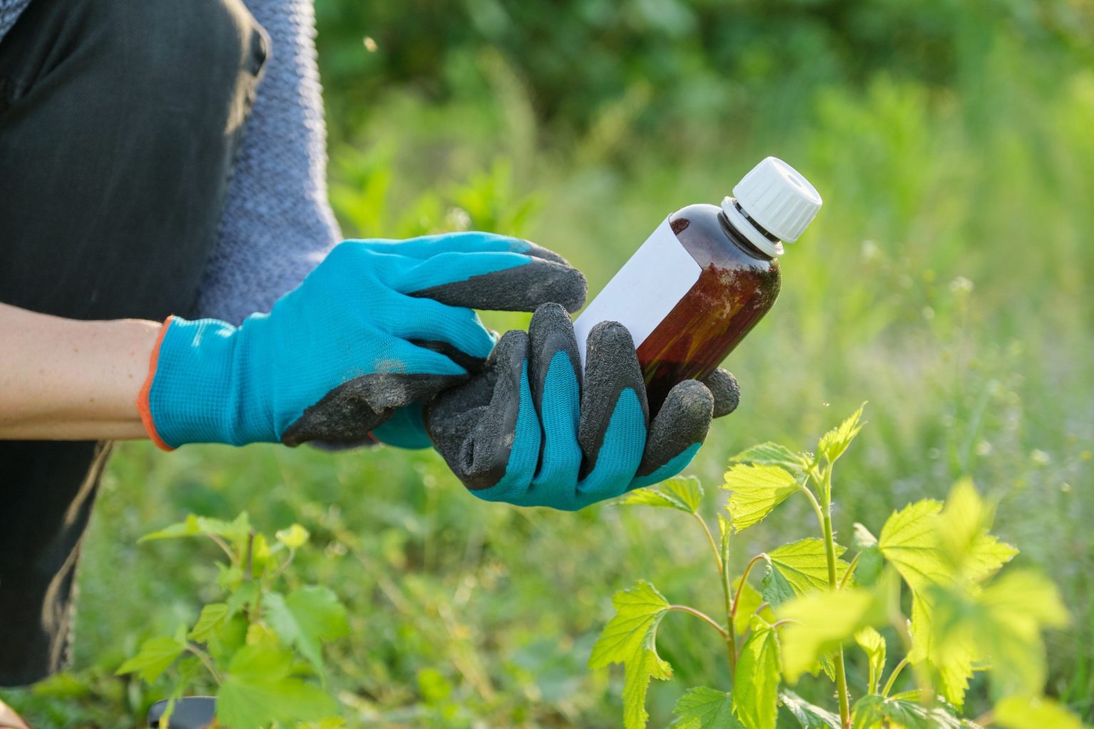 Avoid These 5 Toxic Fertilizers: What Not to Use in Your Garden