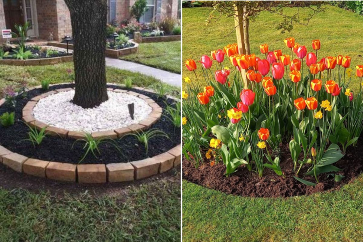 5 UNIQUE Landscape Ideas for Around A Tree [TUTORIALS]